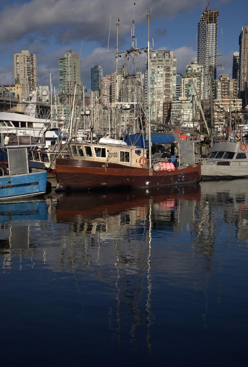 COLD FISH - Vesseljoin