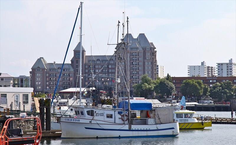 COLD FISH - Vesseljoin