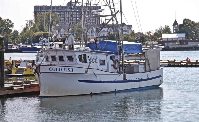 COLD FISH - Vesseljoin