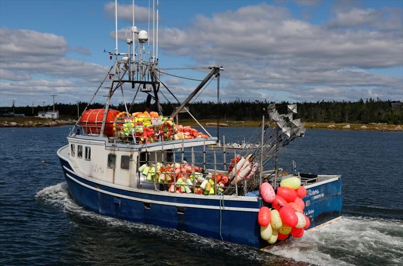 BENJI SISTERS - Vesseljoin