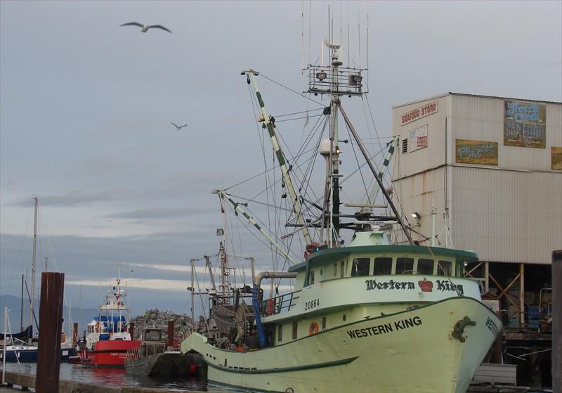 WESTERN KING - Vesseljoin