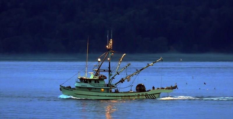 WESTERN KING - Vesseljoin