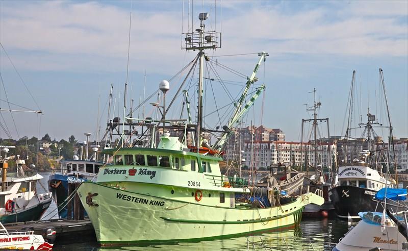 WESTERN KING - Vesseljoin