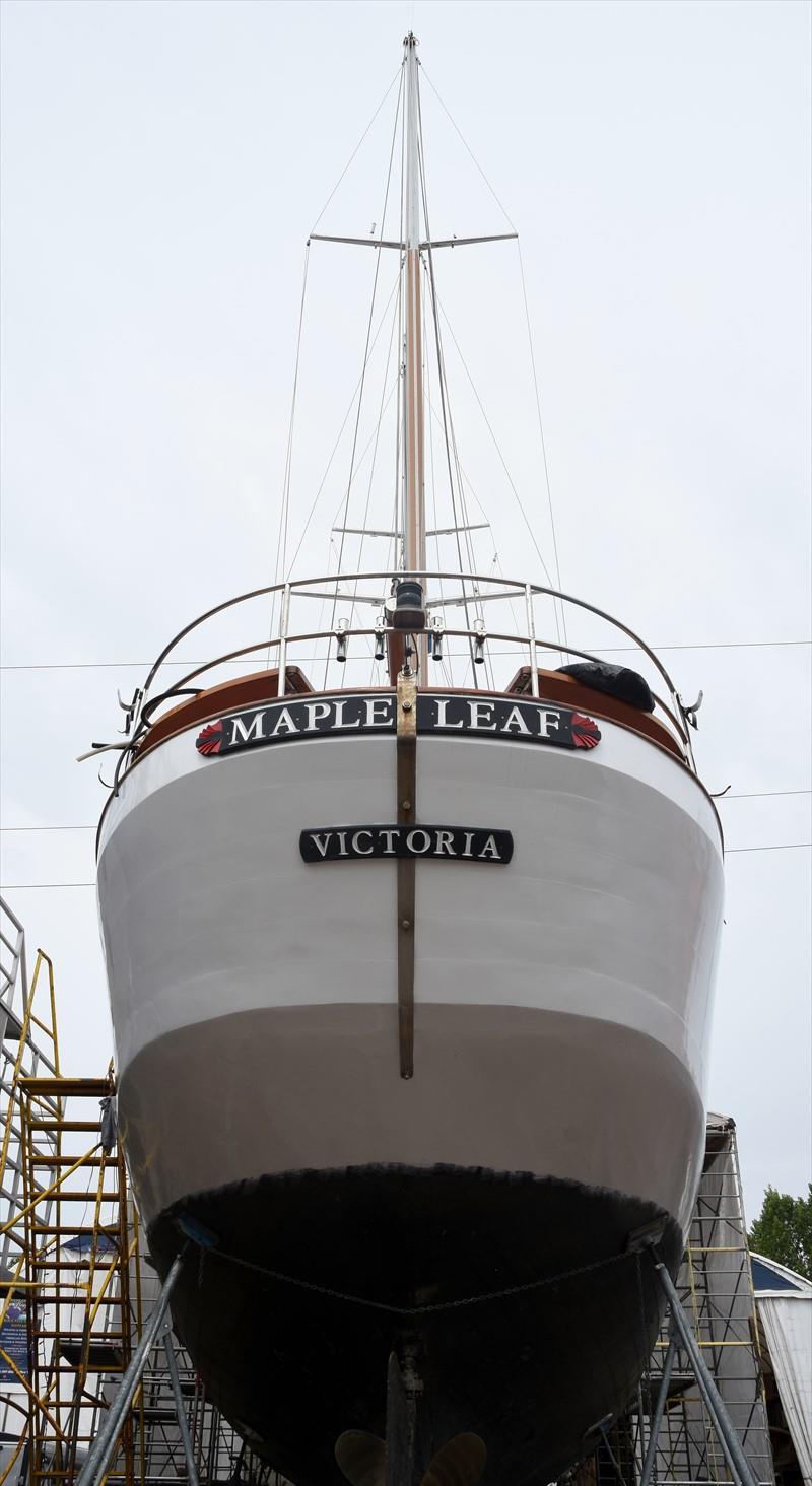 MAPLE LEAF - Vesseljoin