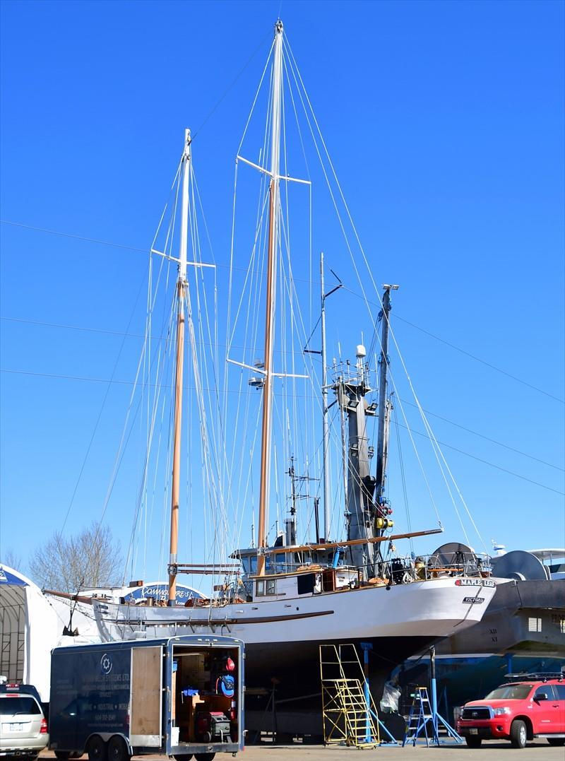 MAPLE LEAF - Vesseljoin