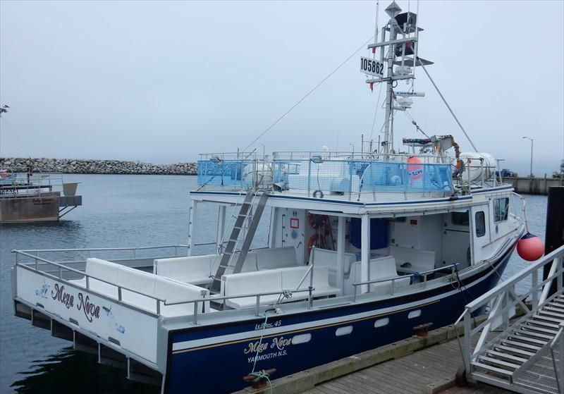 MEGA NOVA - Vesseljoin