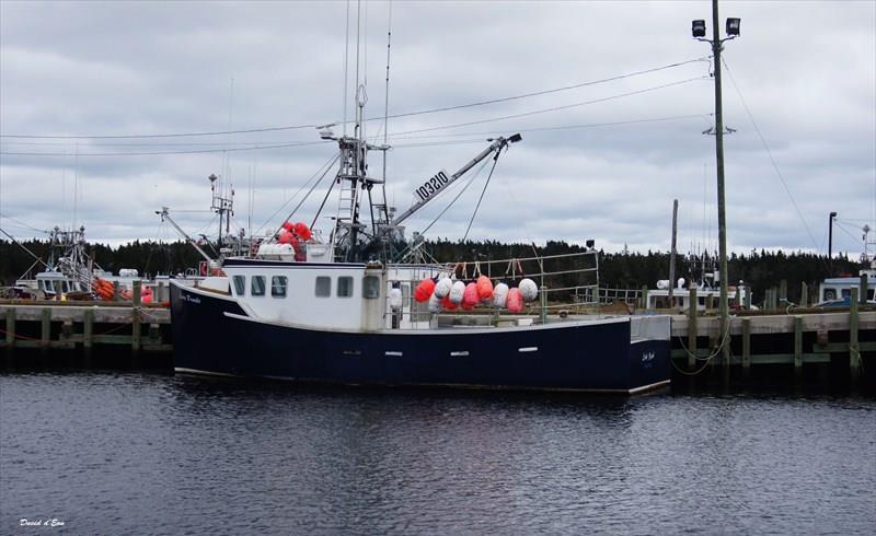 LADY BROOKE - Vesseljoin