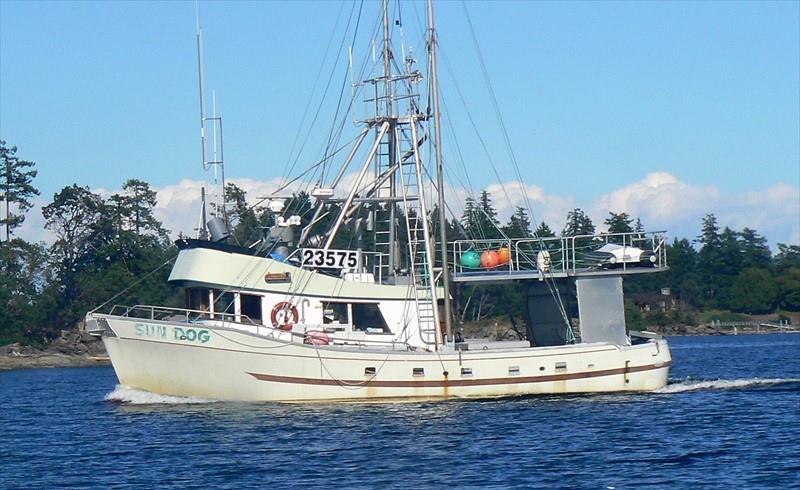 SUN DOG - Vesseljoin