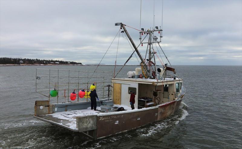 LUCAS REBECCA - Vesseljoin