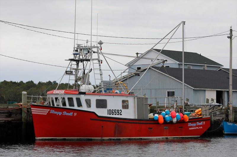 SLEEPY DEVIL - Vesseljoin