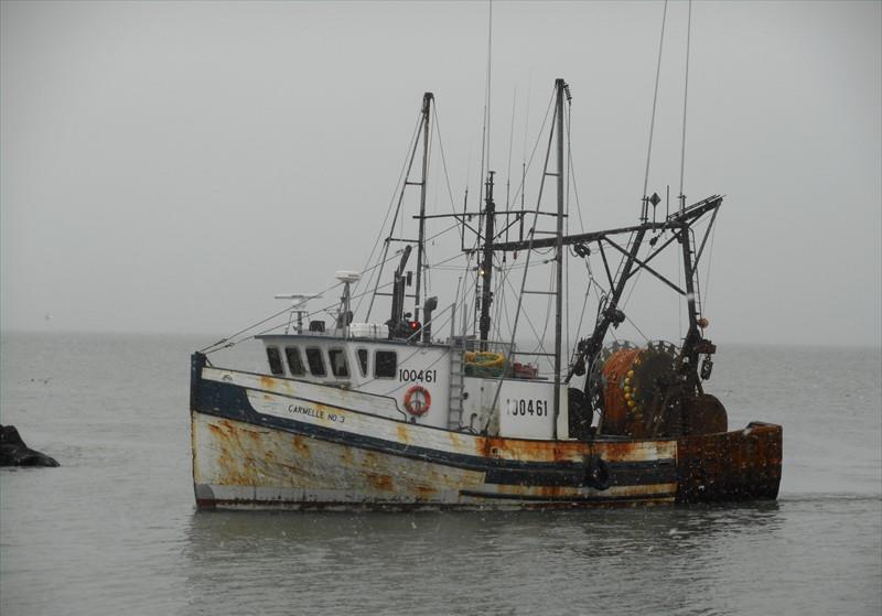 CARMELLE NO3 - Vesseljoin