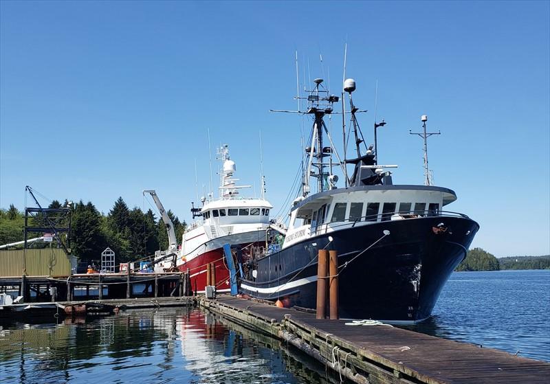 VIKING STORM - Vesseljoin