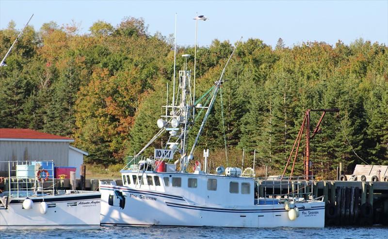 FIN SEEKER - Vesseljoin