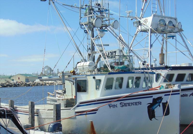 FIN SEEKER - Vesseljoin