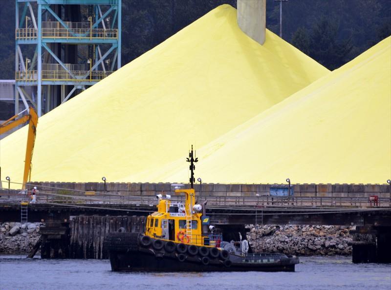 SAAM WOLF - Vesseljoin