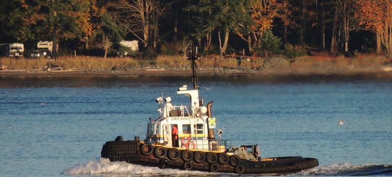 SAAM WOLF - Vesseljoin