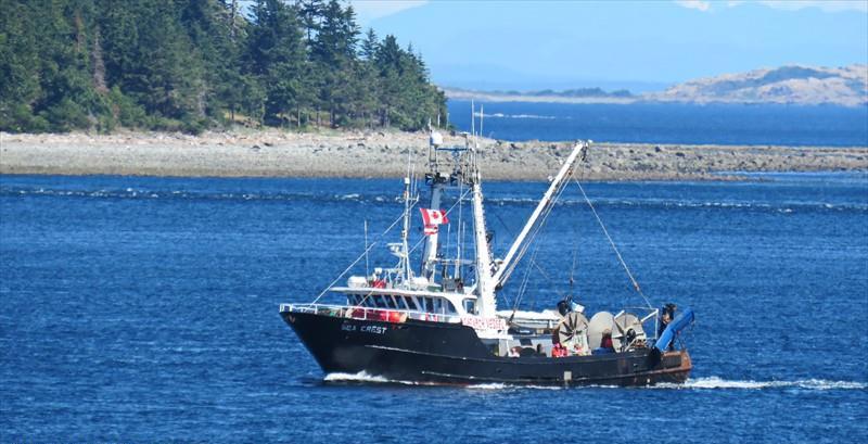 SEA CREST - Vesseljoin