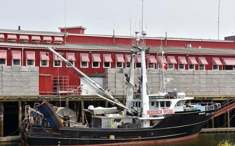 SEA CREST - Vesseljoin