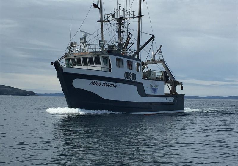 MISS HANNAH - Vesseljoin