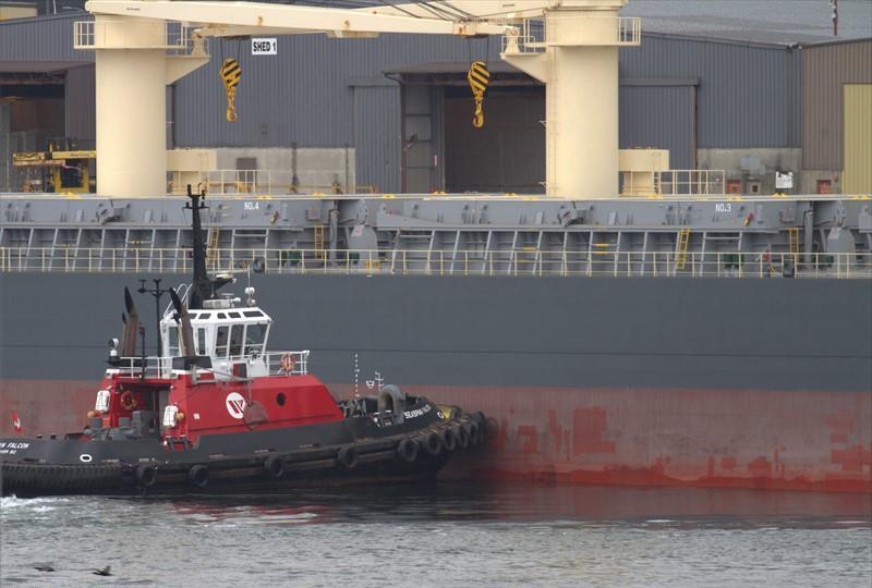 SEASPAN HAWK - Vesseljoin