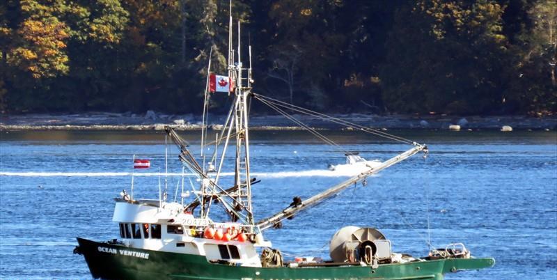 OCEAN VENTURE - Vesseljoin