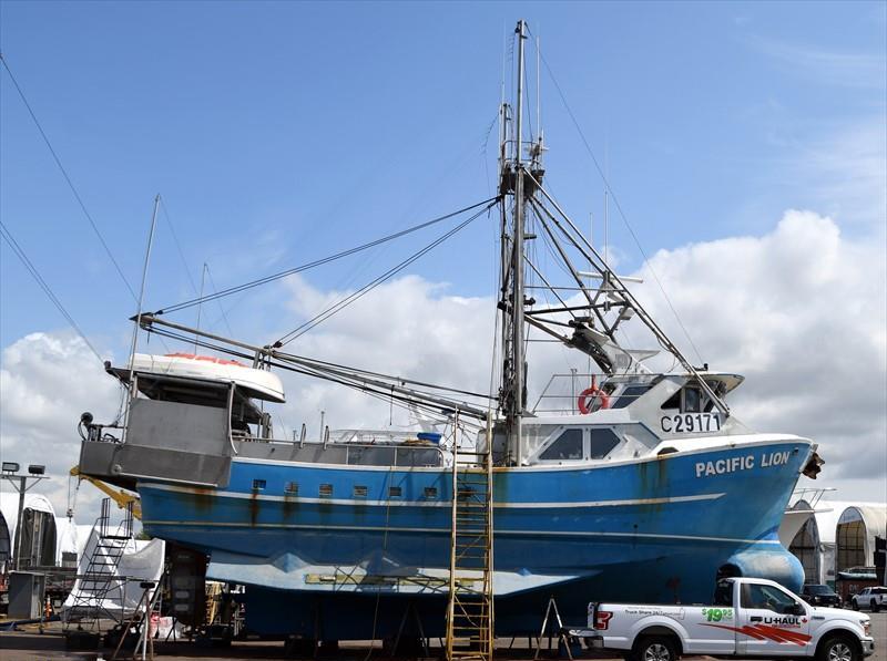 PACIFIC LION - Vesseljoin