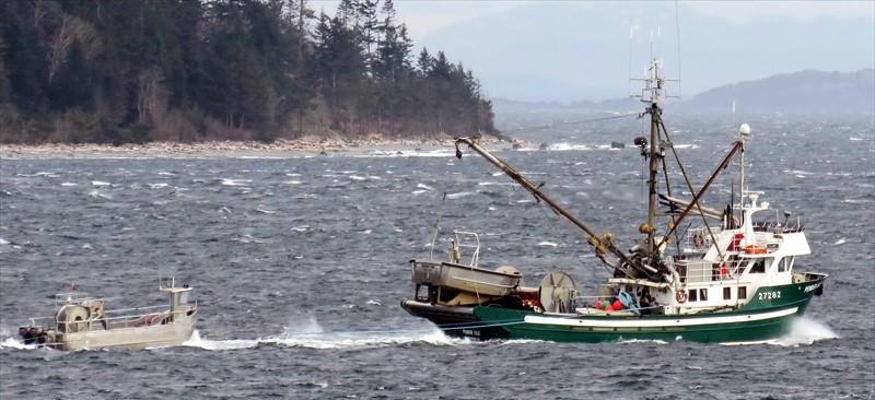 PENDER ISLE - Vesseljoin