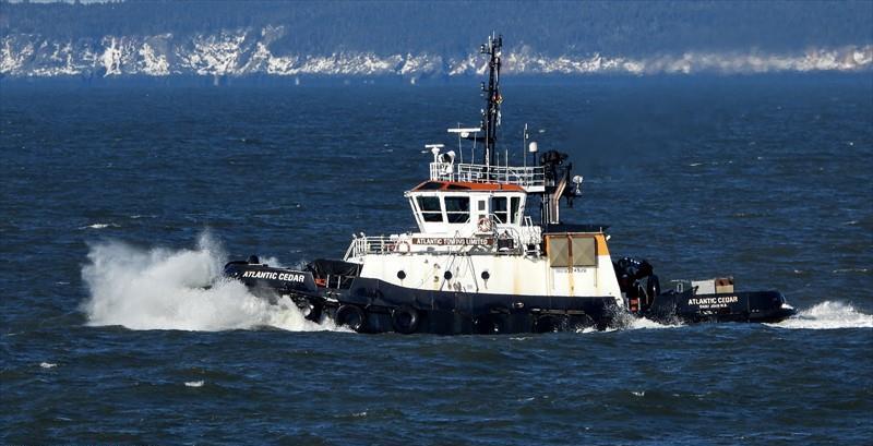 ATLANTIC CEDAR - Vesseljoin