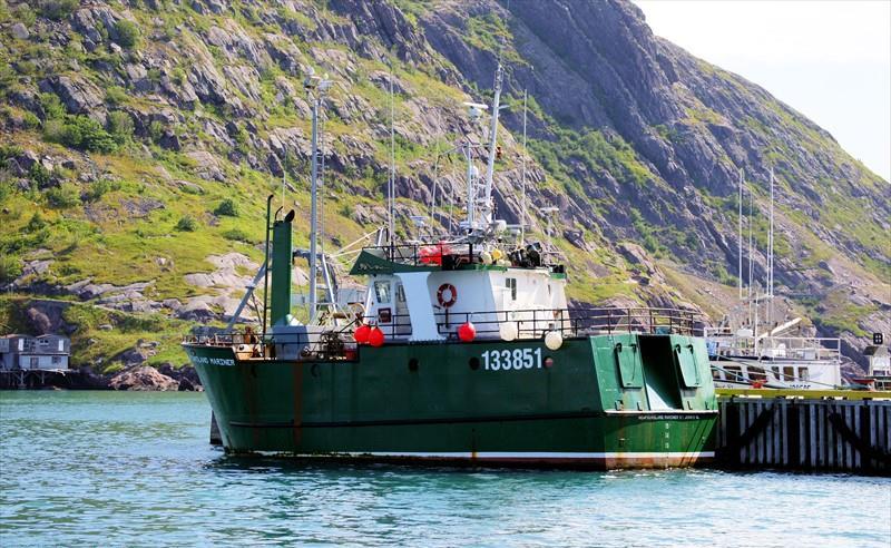 NEWFOUNDLAND MARINER - Vesseljoin