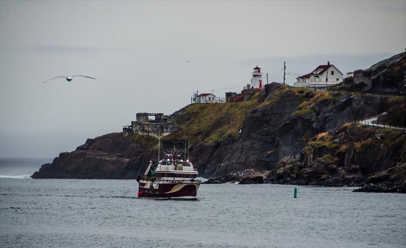 ATLANTIC STORM - Vesseljoin