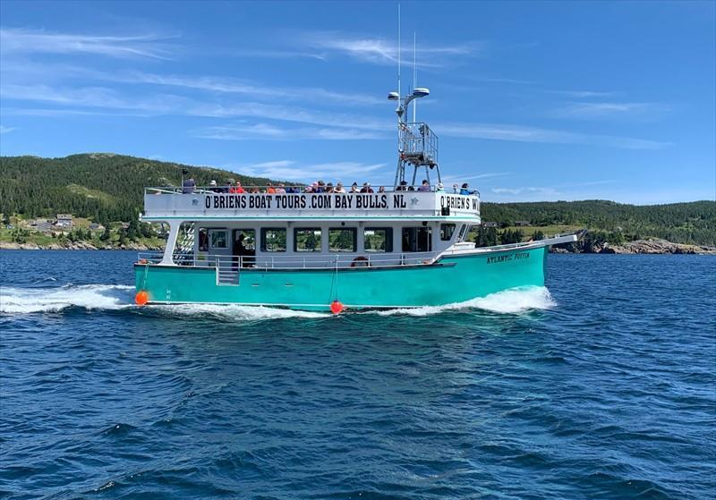 ATLANTIC PUFFIN - Vesseljoin