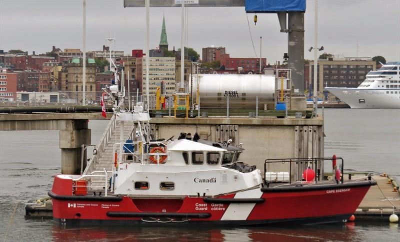 CAPE EDENSAW - Vesseljoin