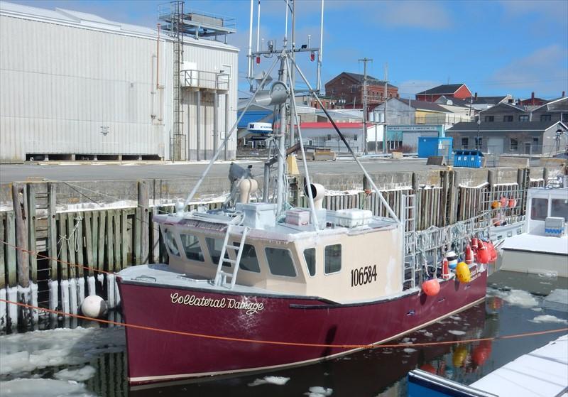 COLLATERAL DAMAGE - Vesseljoin