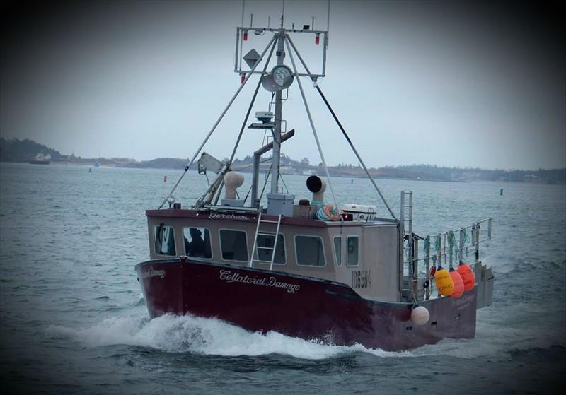 COLLATERAL DAMAGE - Vesseljoin