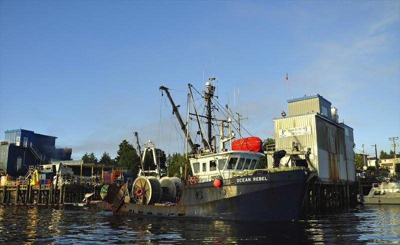 OCEAN REBEL - Vesseljoin