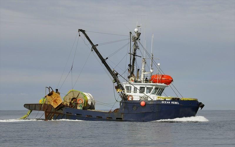 OCEAN REBEL - Vesseljoin