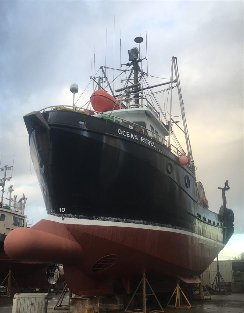 OCEAN REBEL - Vesseljoin