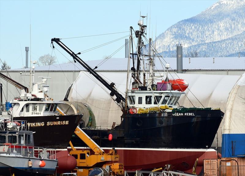 OCEAN REBEL - Vesseljoin