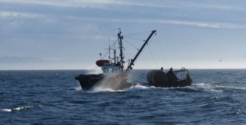 OCEAN REBEL - Vesseljoin