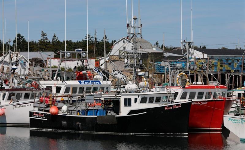 TUNA HAWK - Vesseljoin