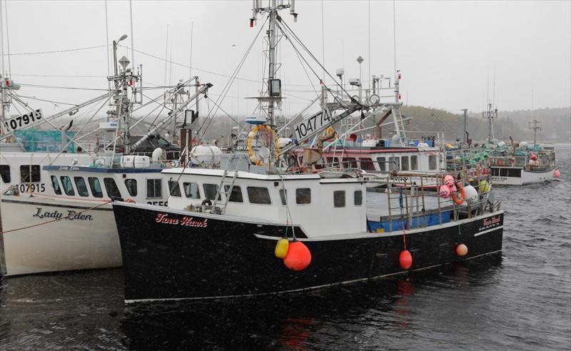 TUNA HAWK - Vesseljoin