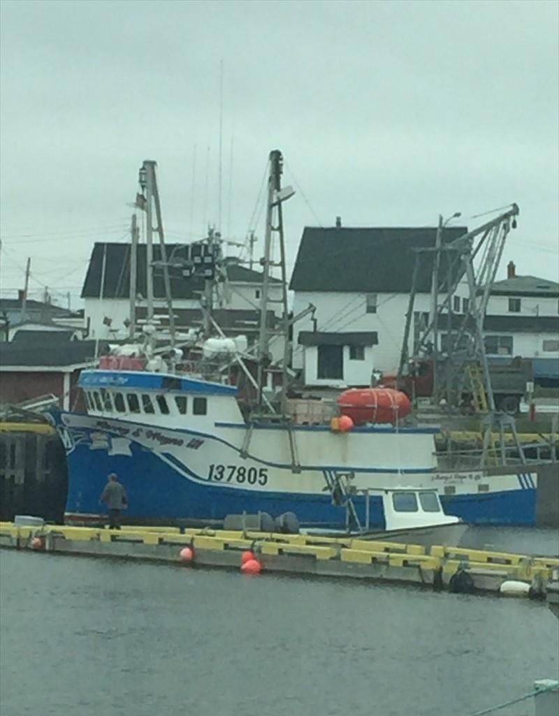 HARRY WAYNE III - Vesseljoin