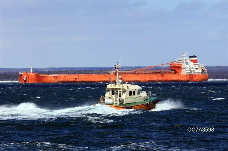 STRAIT FALCON - Vesseljoin