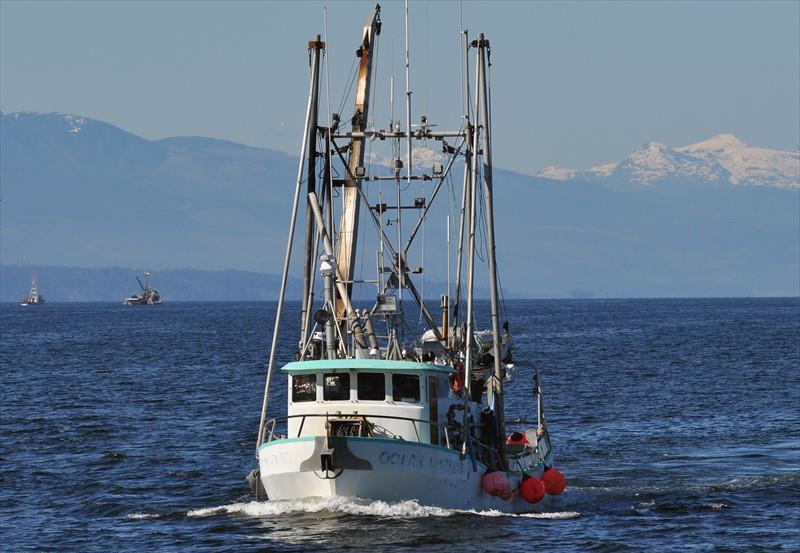 OCEAN MISTRESS - Vesseljoin