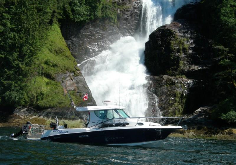 RIPPLE EFFECT - Vesseljoin