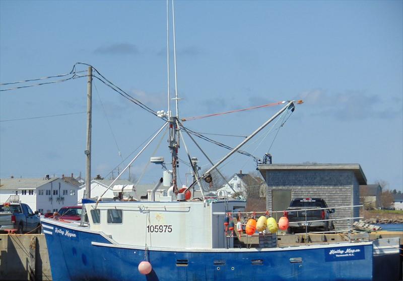 HAILEY MEGAN - Vesseljoin