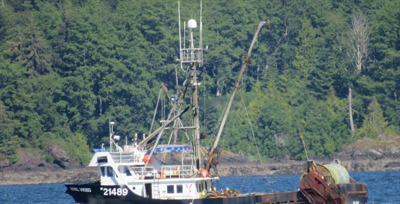 ROYAL VIKING - Vesseljoin