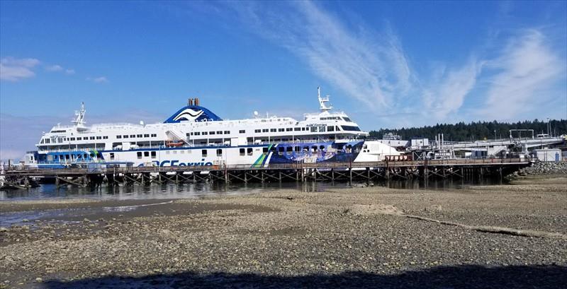 COASTAL RENAISSANCE - Vesseljoin