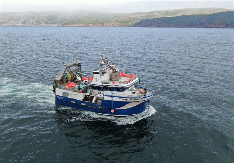 AUGUST GALE - Vesseljoin