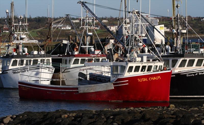 TOTAL CHAOS - Vesseljoin